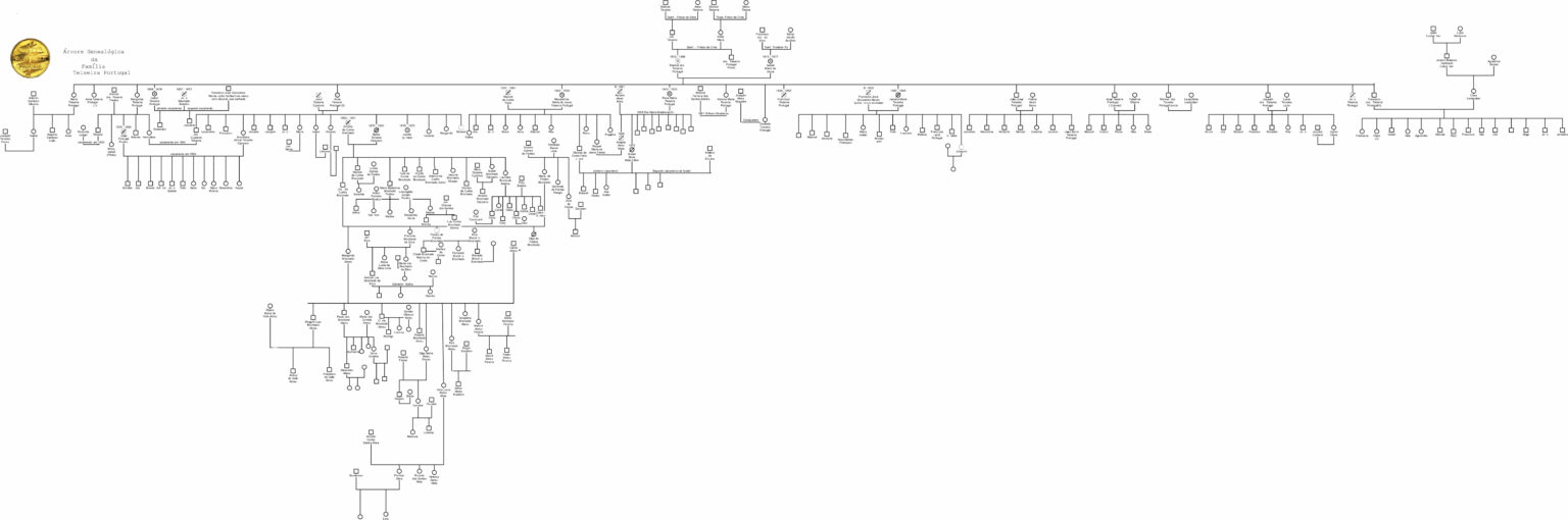 Árvore genealógica da família Teixeira | 2026