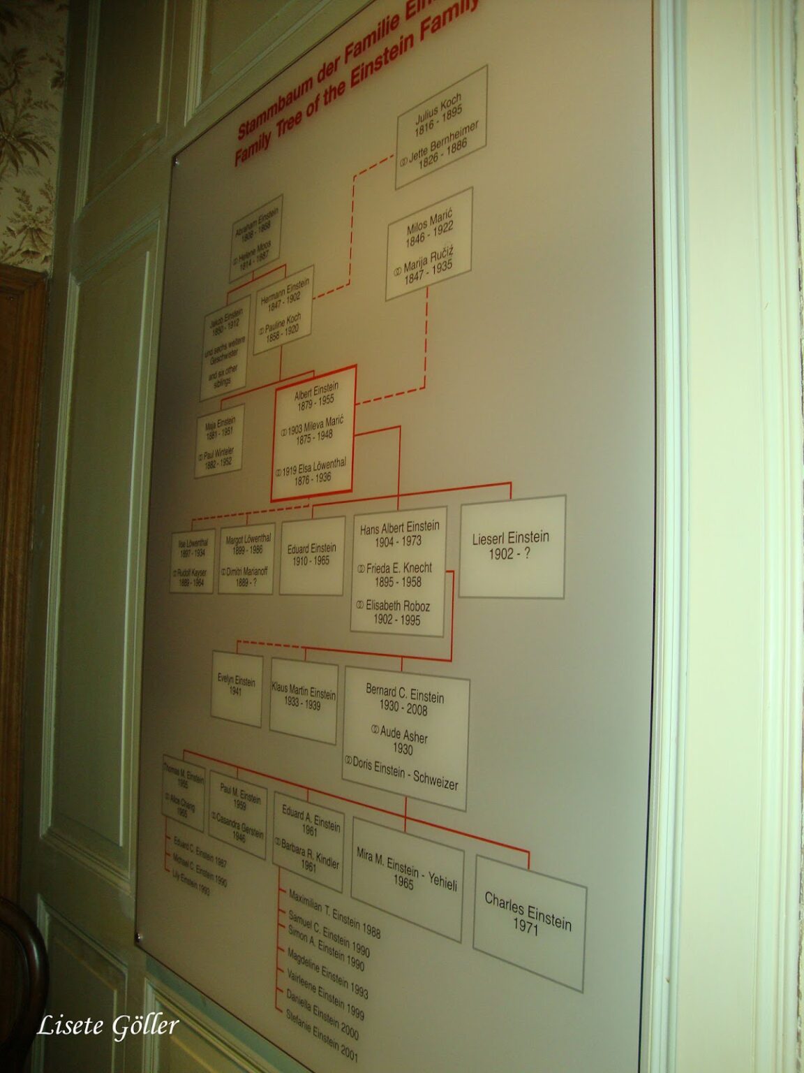 ️ Árvore genealógica de Albert Einstein | [Completo]